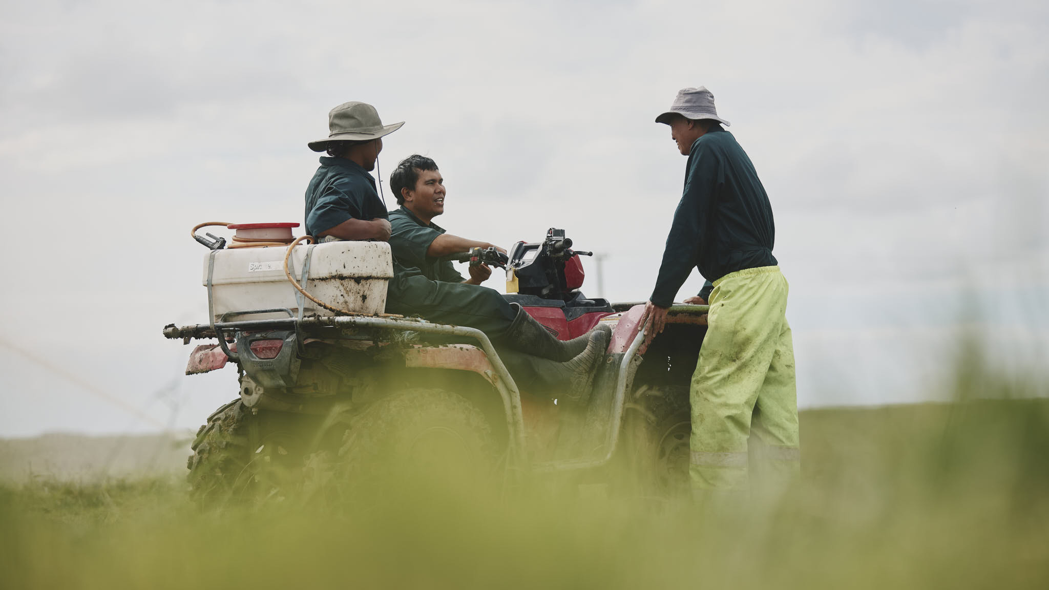 Commercial Photography Services by Mark Hamilton Photography